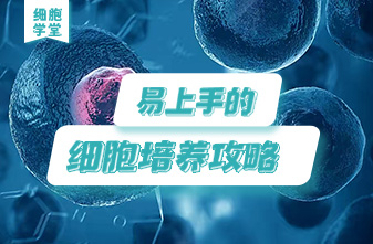温和高效不伤细胞，Accutase细胞消化液轻松搞定细胞消化！-武汉普诺赛生命科技有限公司