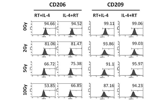 细胞学堂 | RAW 264.7诱导极化及鉴定大全-武汉普诺赛生命科技有限公司