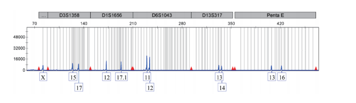 细胞的身份证明——细胞STR鉴定-武汉普诺赛生命科技有限公司